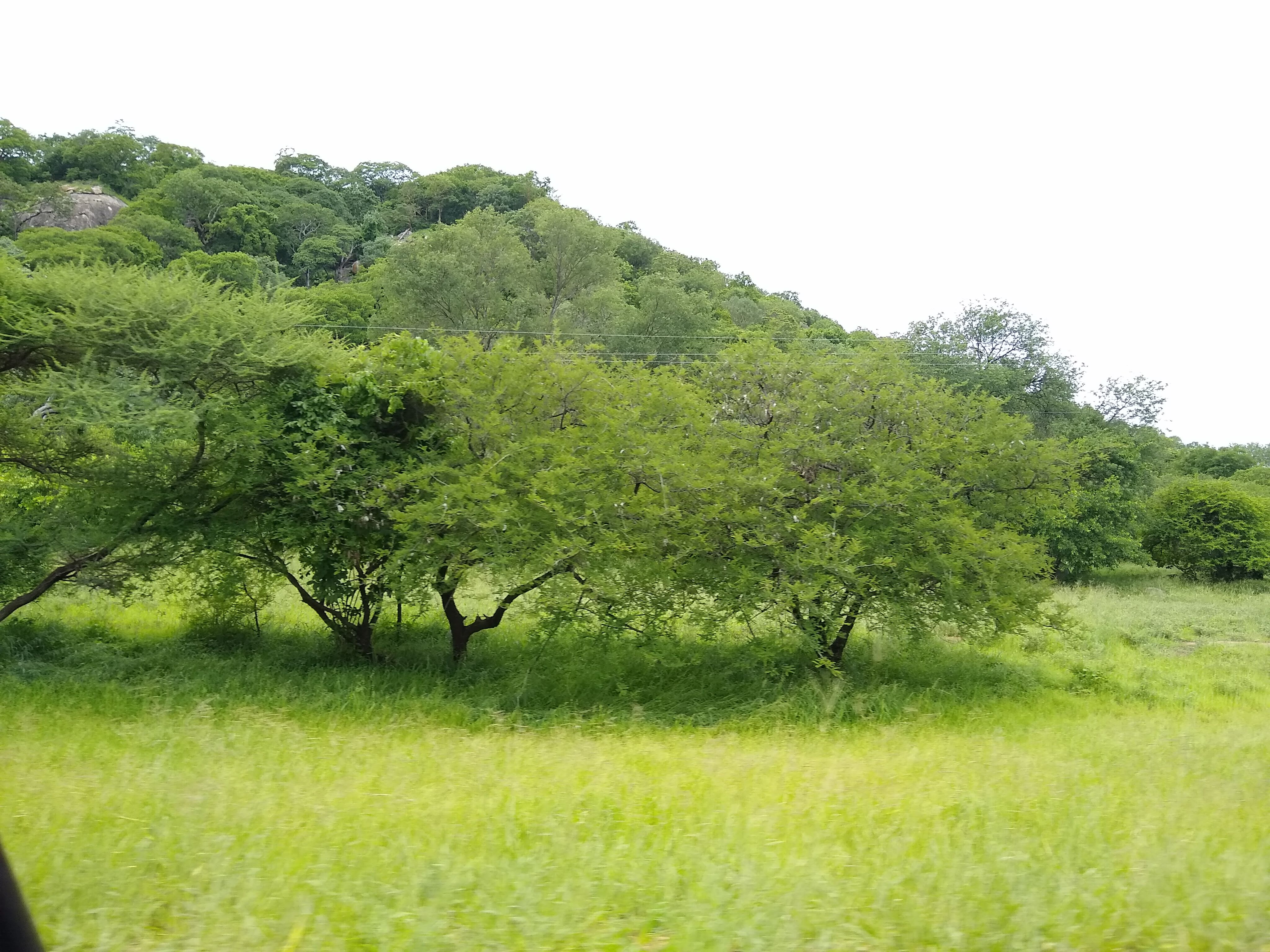 I am Maggie – NdineMaggie